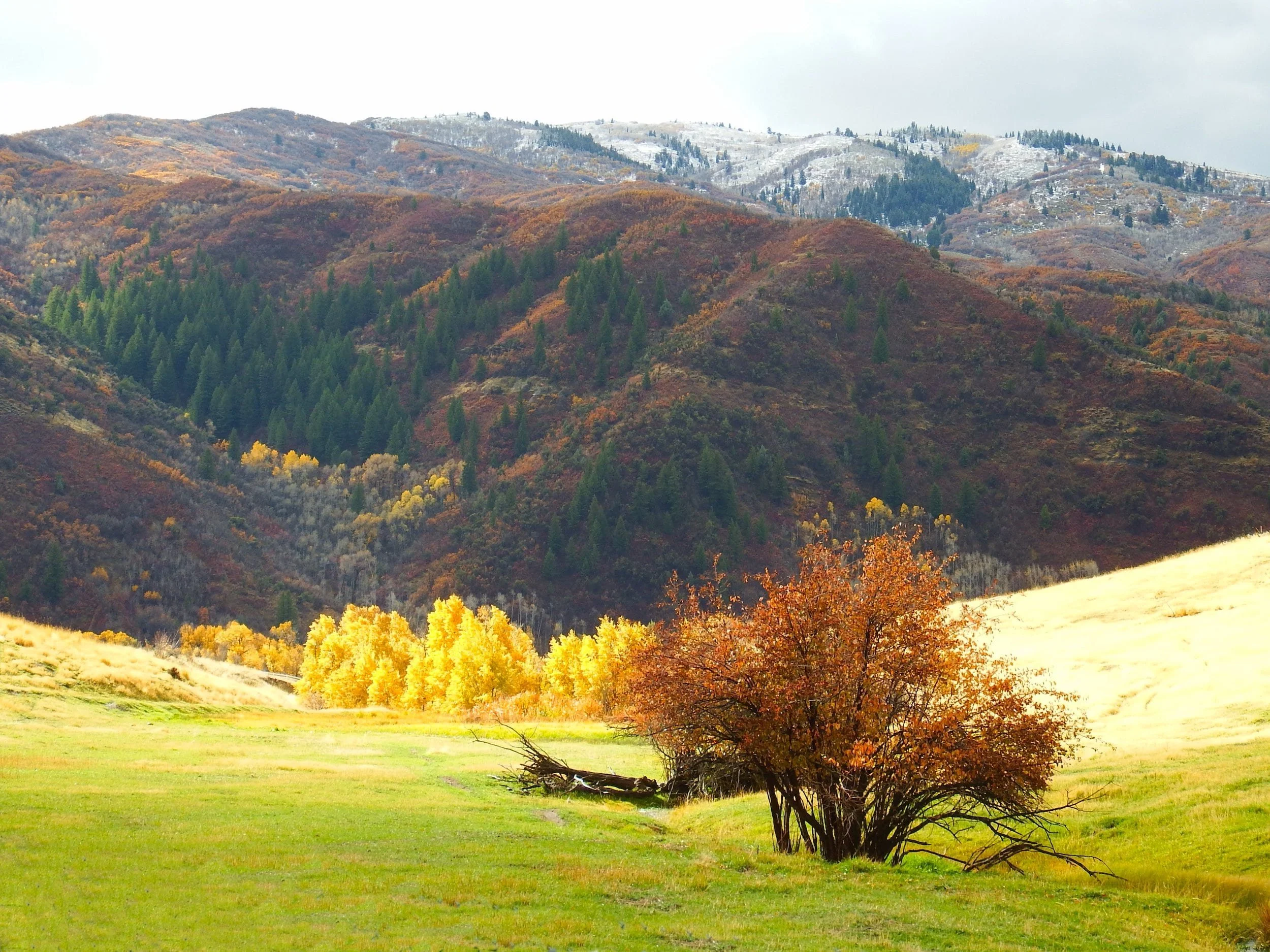 Causey Spring CWMU Hunting — Hunt CWMU - Utah CWMU Info