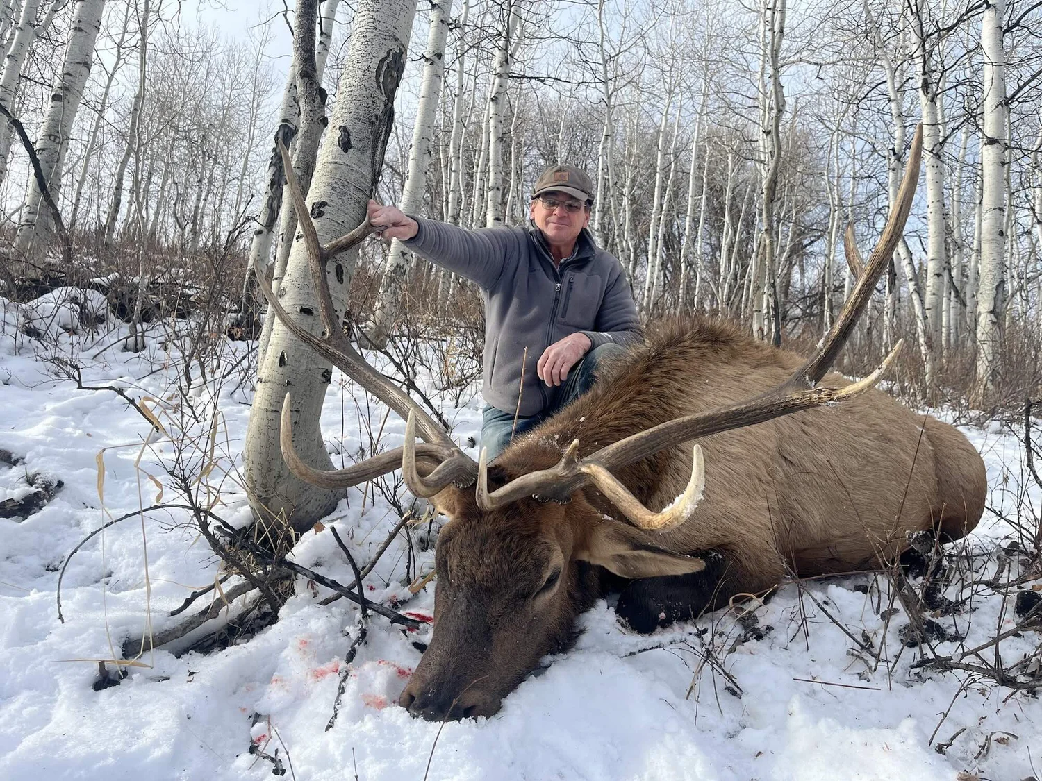 Deseret CWMU Bull Elk — Hunt CWMU - Utah CWMU Info