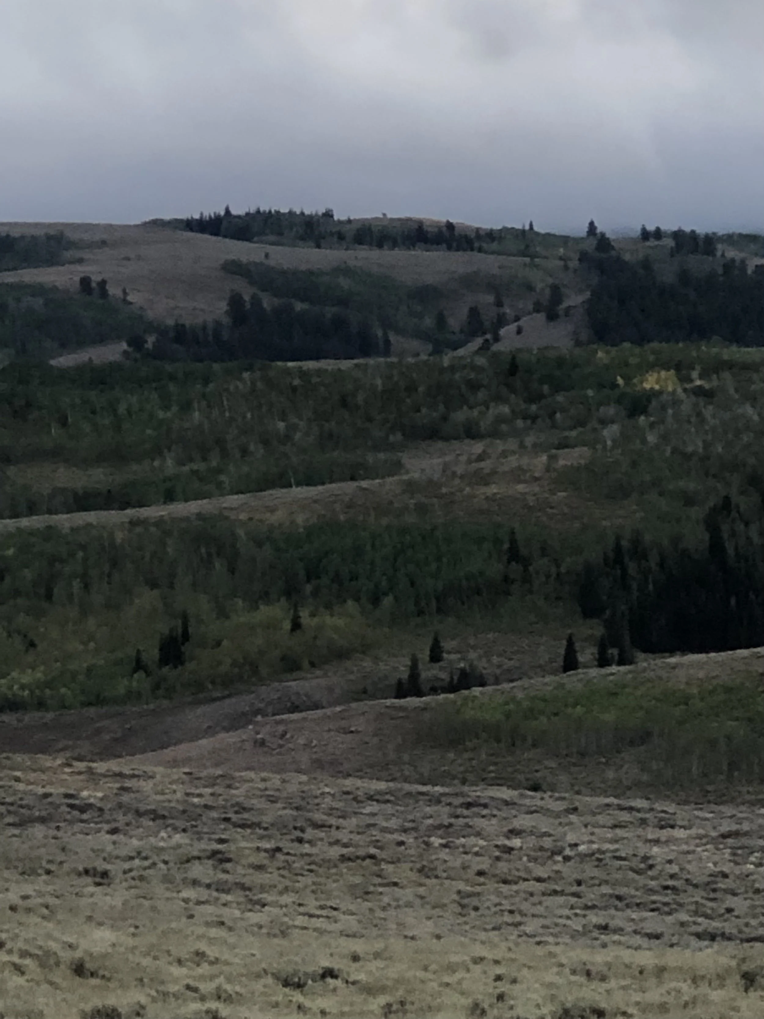 Strawberry Ridge CWMU Hunting Rules — Hunt CWMU - Utah CWMU Info