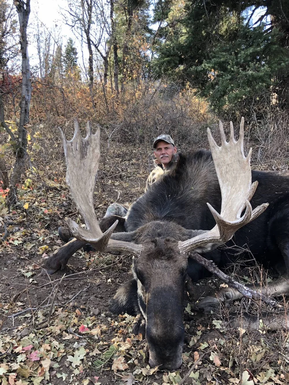 Causey Spring CWMU Bull Moose — Hunt CWMU - Utah CWMU Info