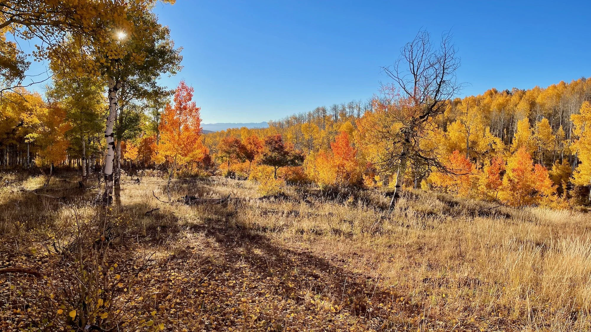 Hunt CWMU - Utah CWMU Info