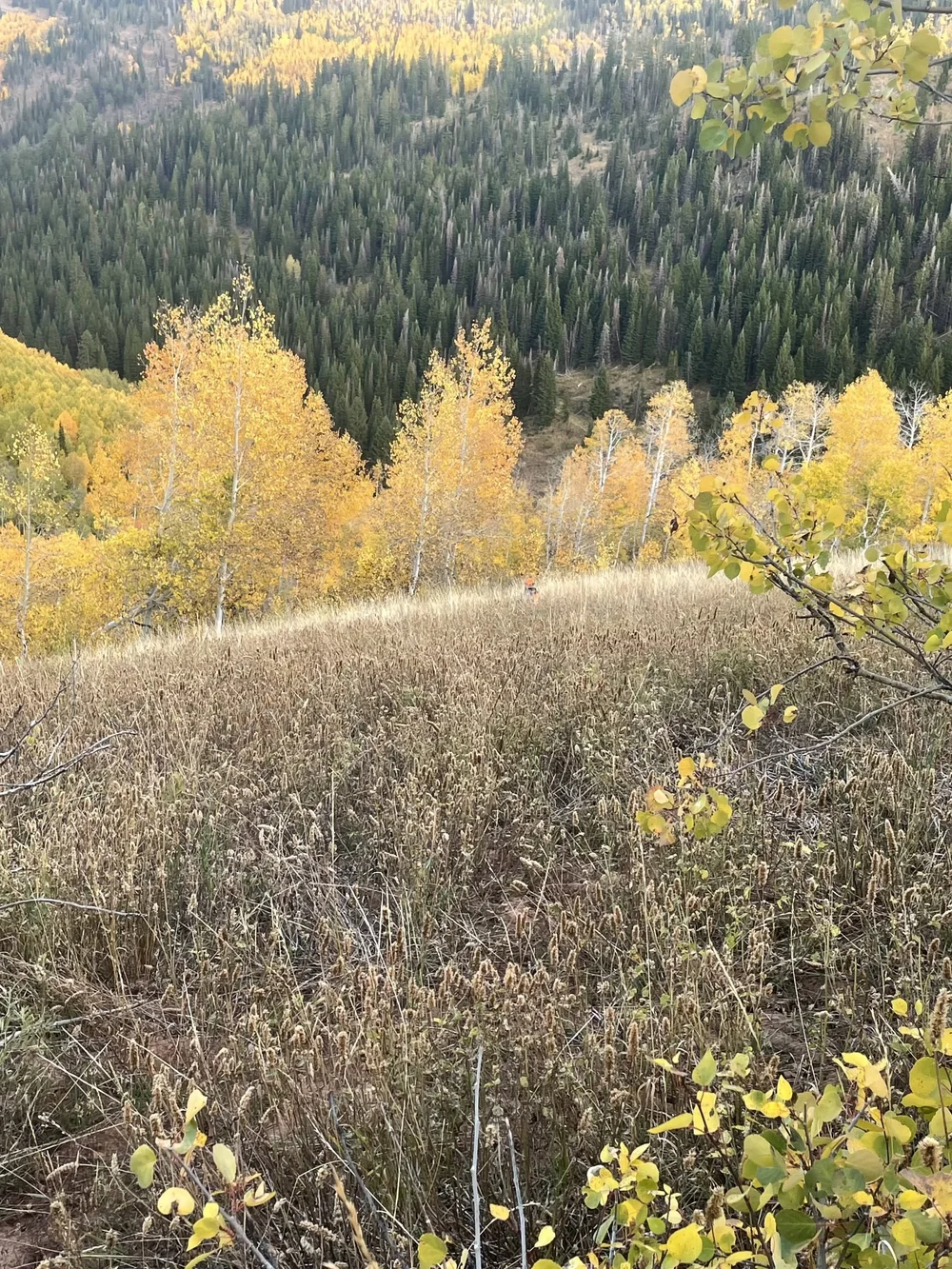 Strawberry Ridge CWMU Hunting Rules — Hunt CWMU - Utah CWMU Info