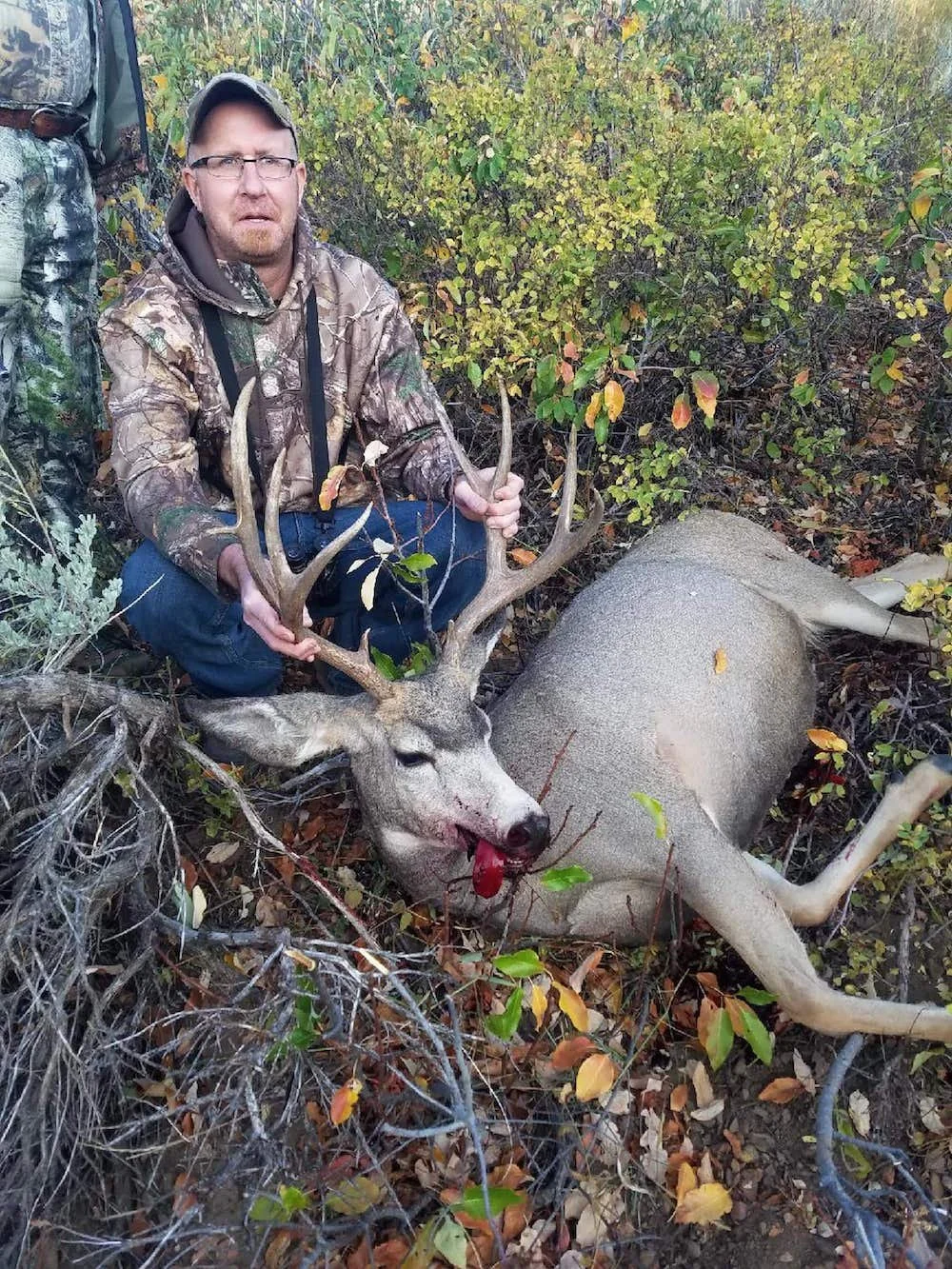 Causey Spring CWMU Buck Deer — Hunt CWMU - Utah CWMU Info