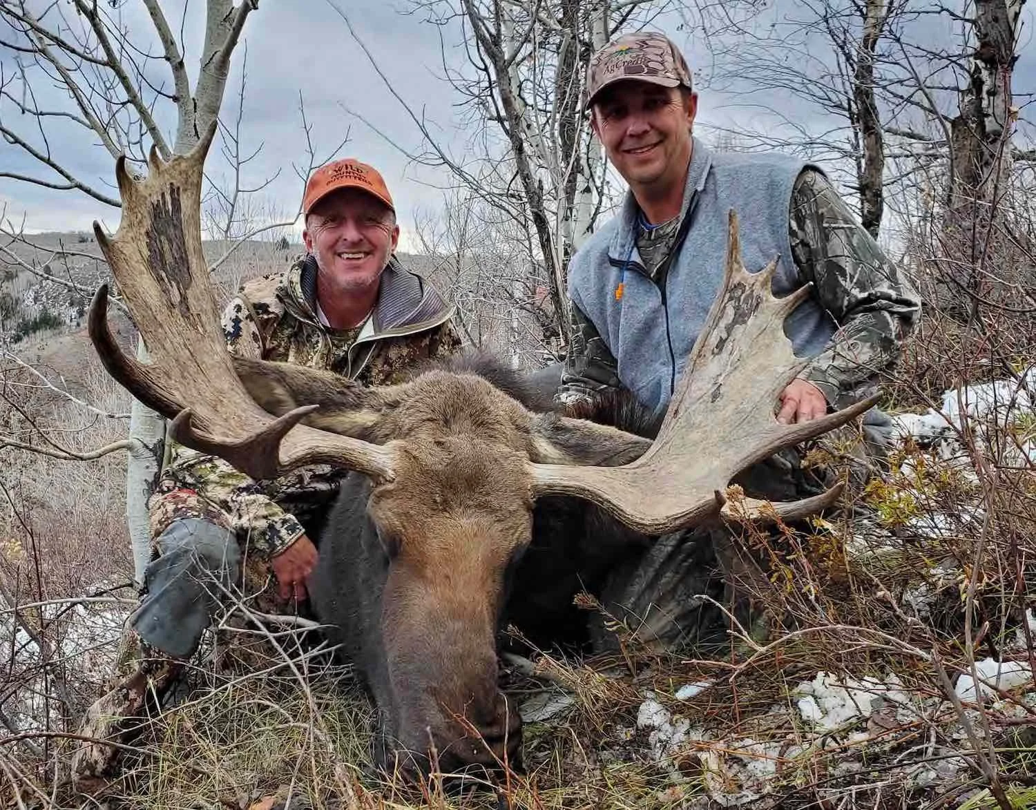 Deseret CWMU Bull Moose — Hunt CWMU - Utah CWMU Info