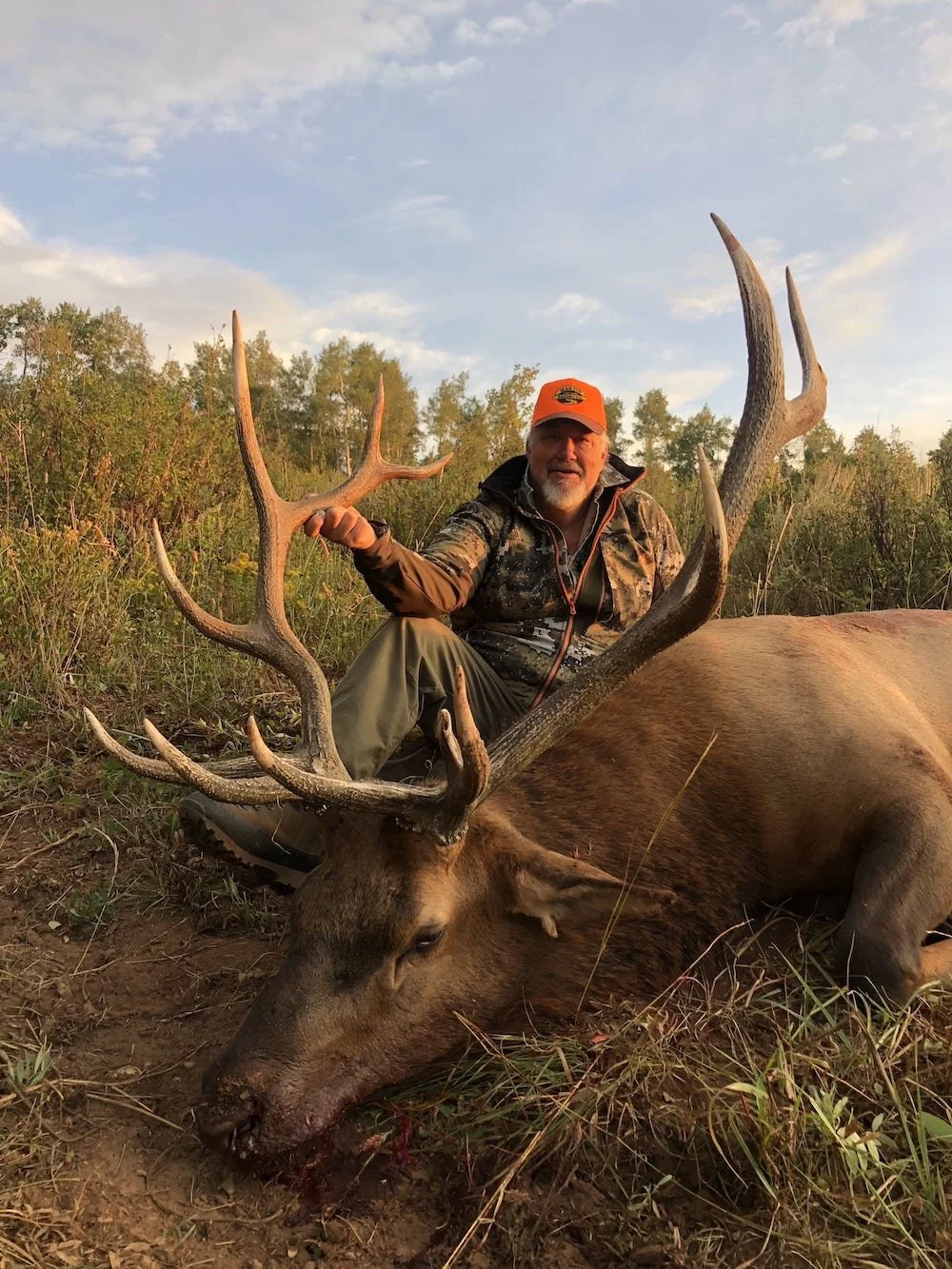 Strawberry Ridge Bull Elk — Hunt CWMU - Utah CWMU Info
