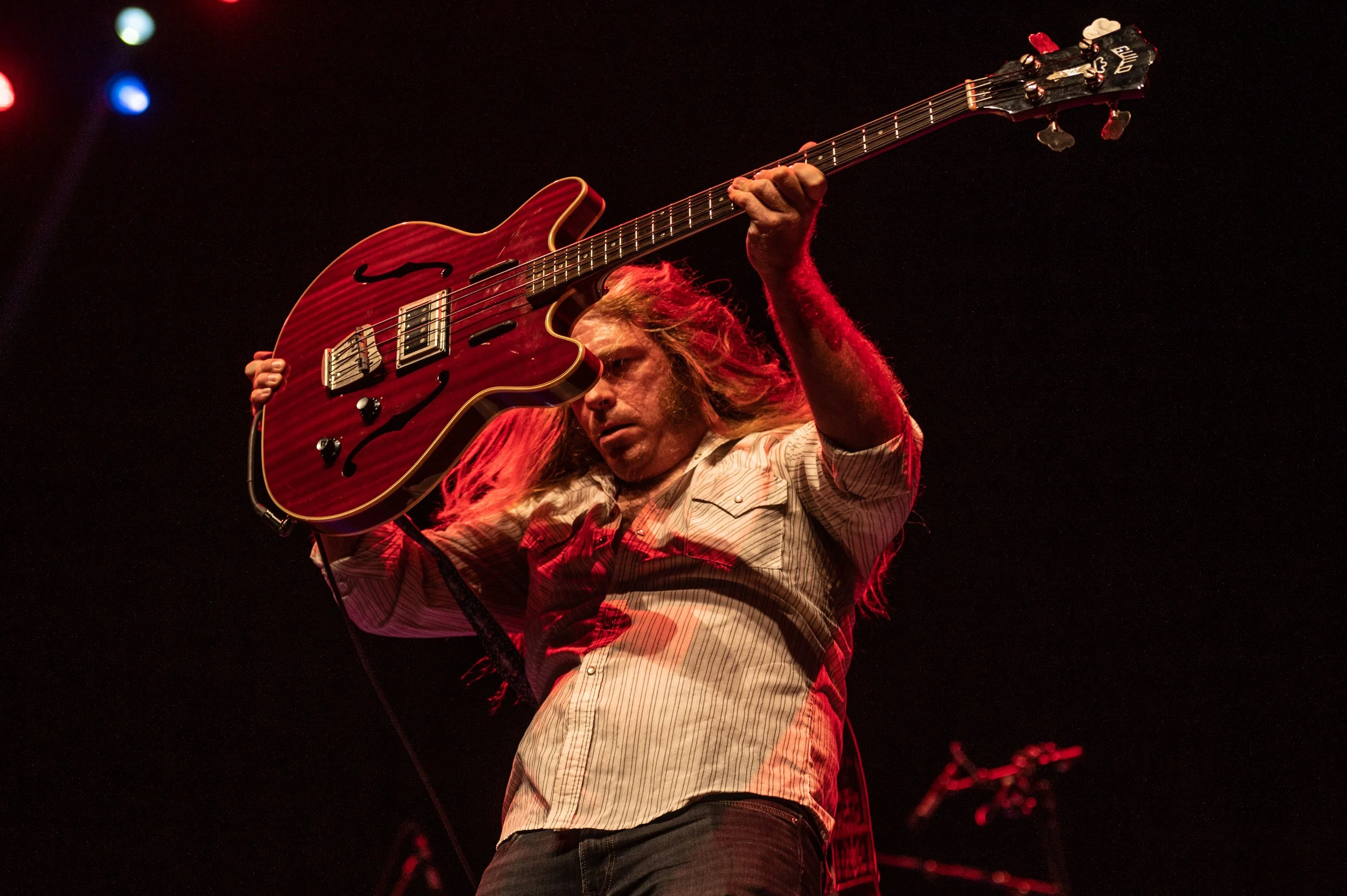 FAMILY — Bearly Dead - Official Site of The Grateful Dead Touring Tribute