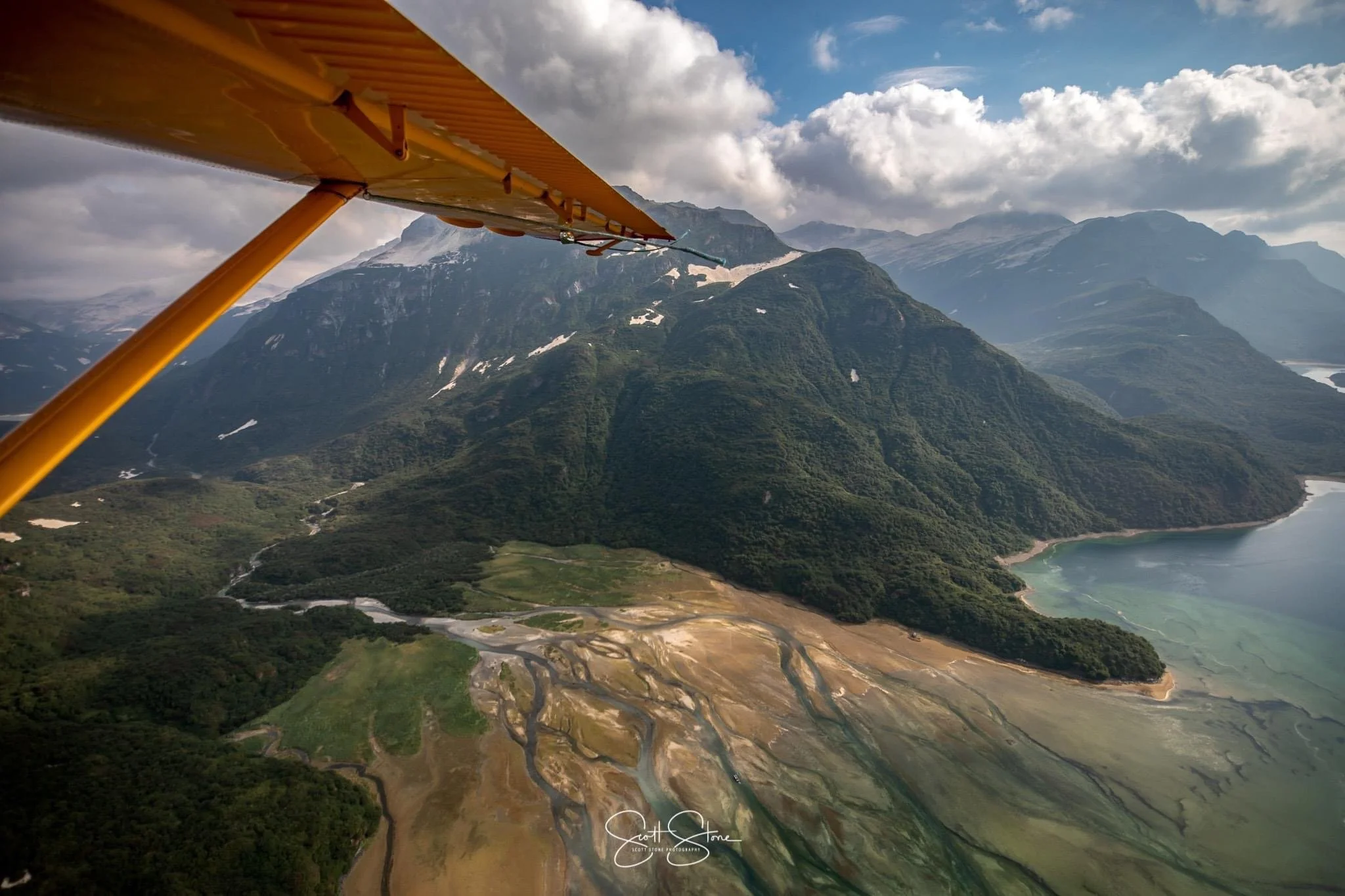 Scott Stone Photography | Wildlife & Nature Photography + Eco-Tours