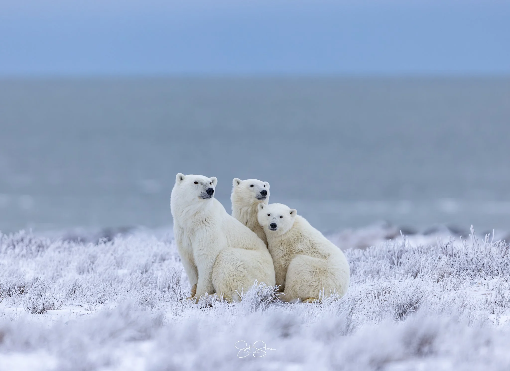 Destination & Adventure Travel | Discover & Book Your Wildlife ...