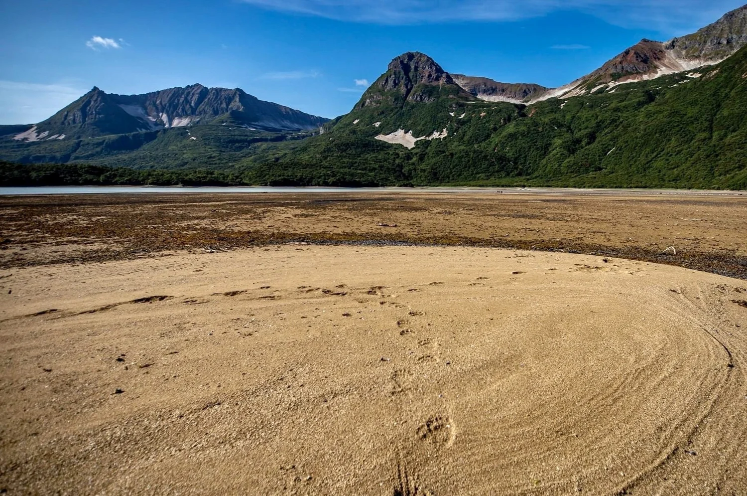 Alaska Wolf Tour | Discover & Capture Wolves - Join Now — Scott Stone ...