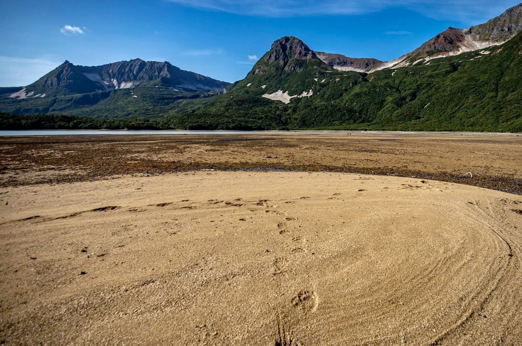 Alaska Wolf Tour | Discover & Capture Wolves - Join Now — Scott Stone ...