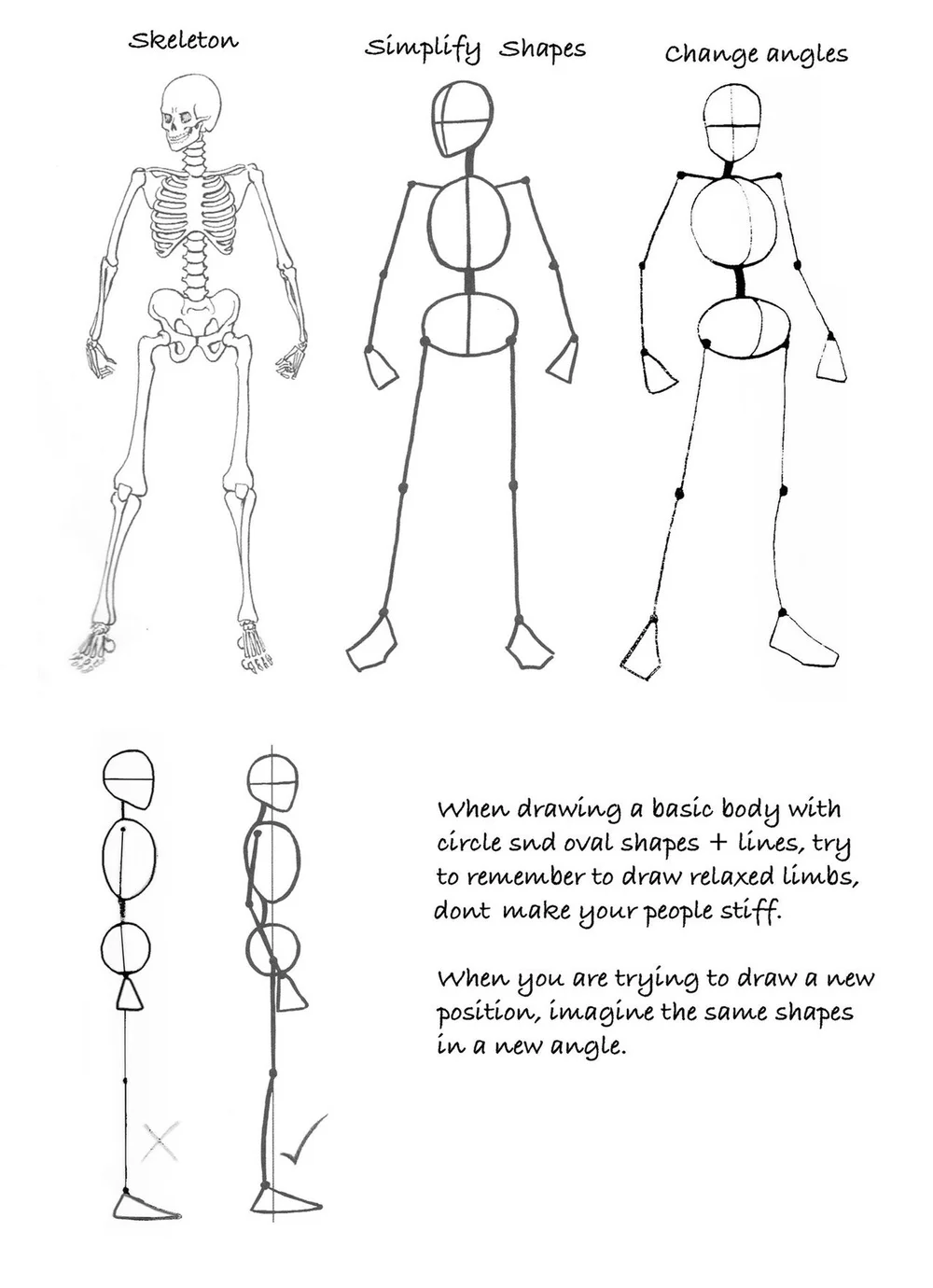 Human proportions — Melbourne Art Classes