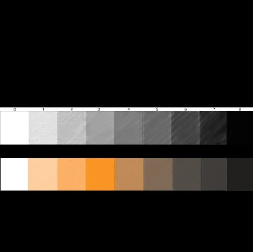 What is Tonal Value — Melbourne Art Classes