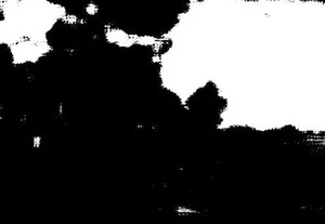 Notan Studies — Melbourne Art Classes