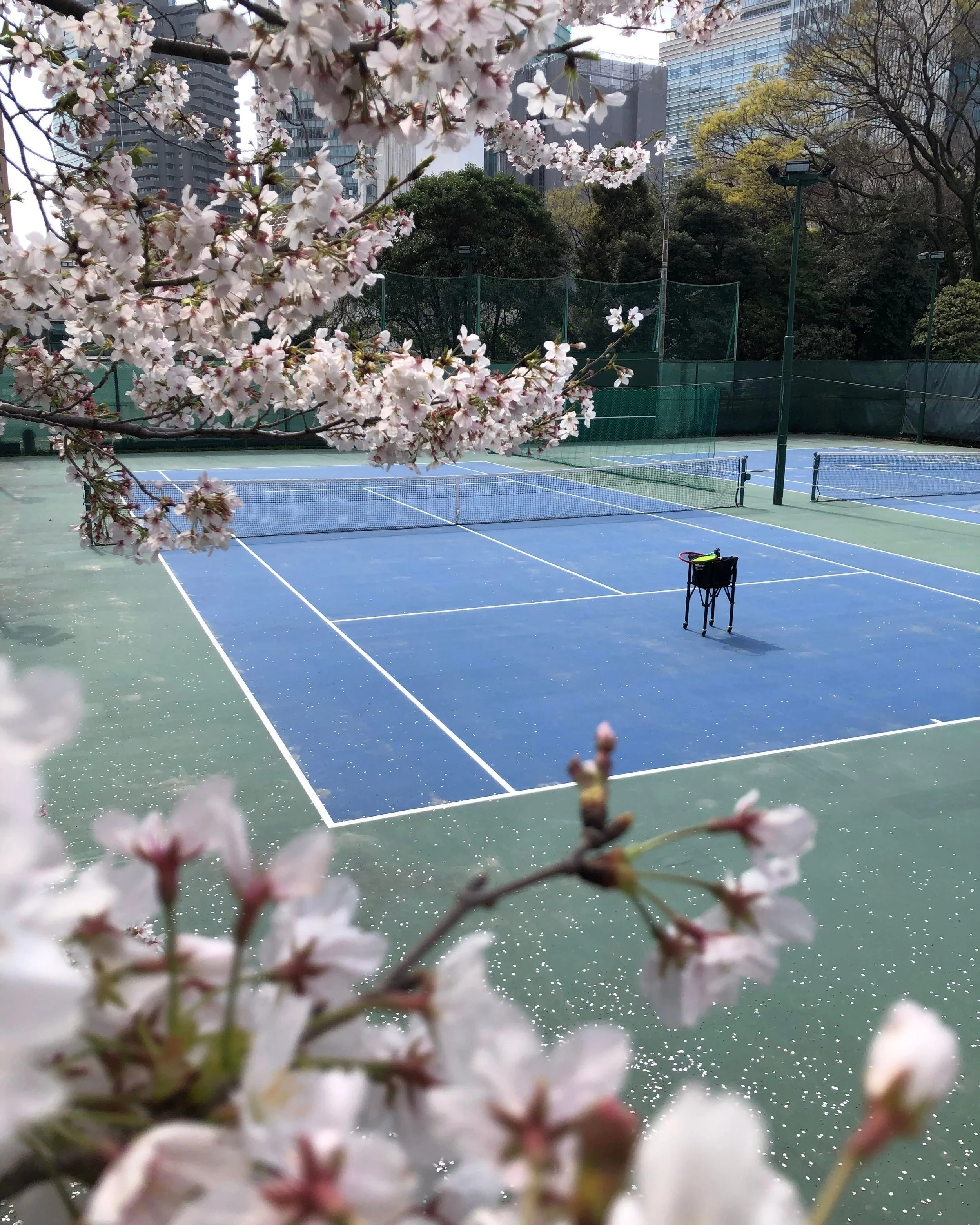 Tokyo Tennis International