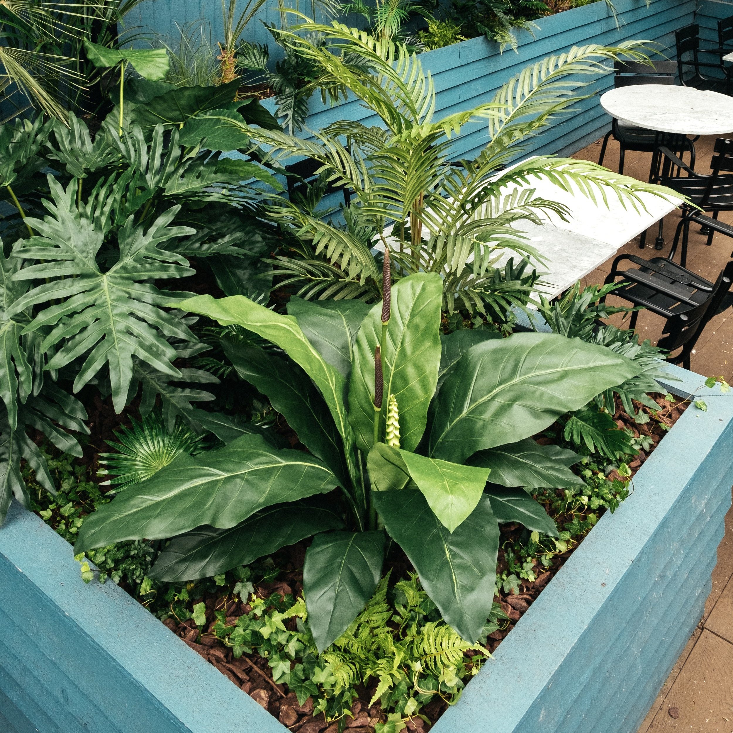 Grind Restaurant Terrace Planting — Plants By There