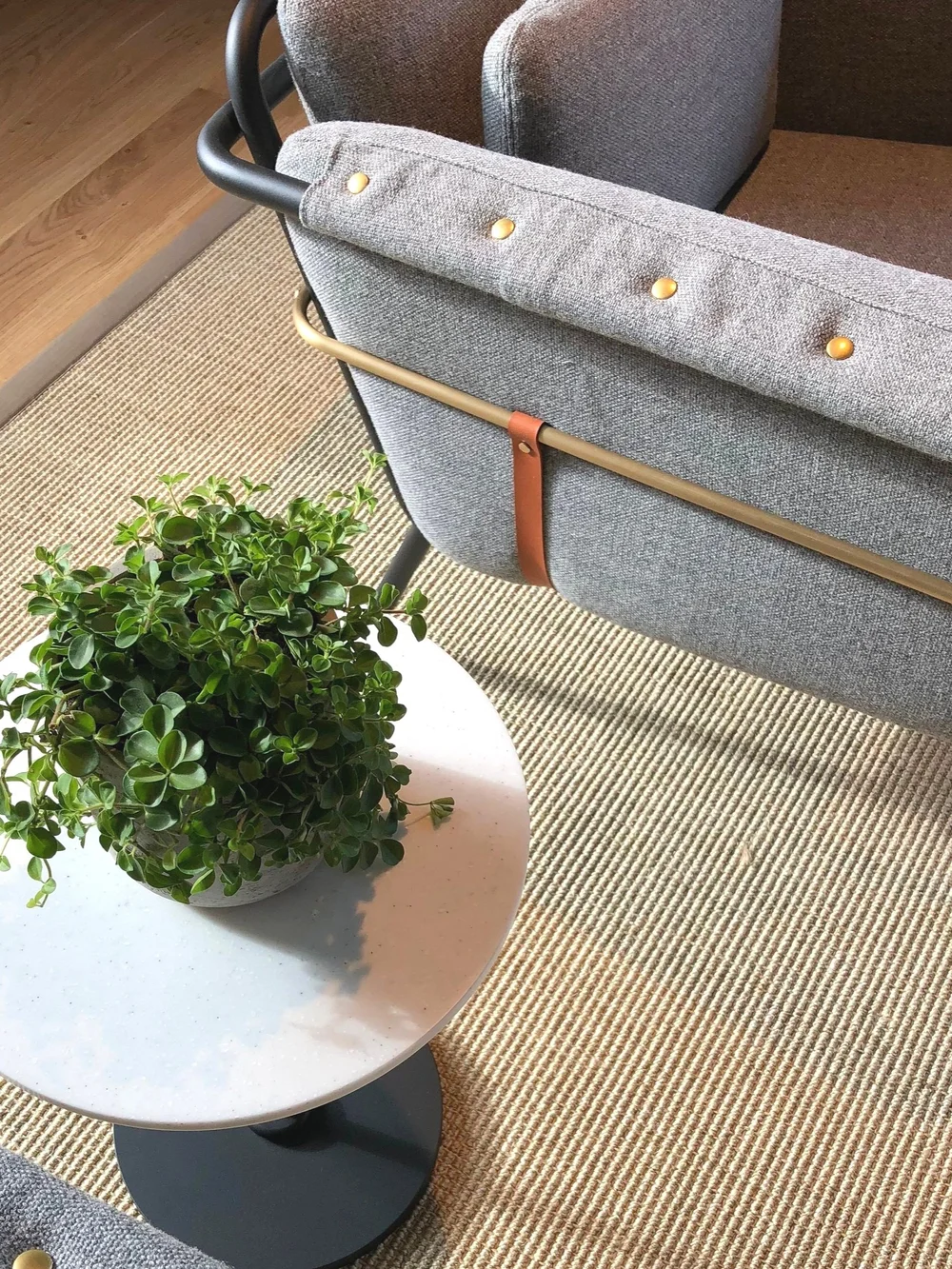Botanical Design & Styling — Plants By There