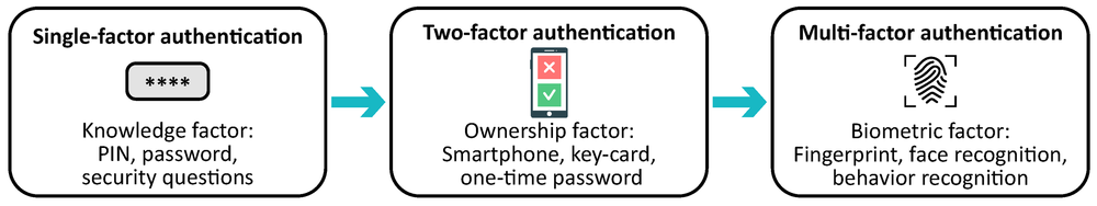 Password — White Hat Collective