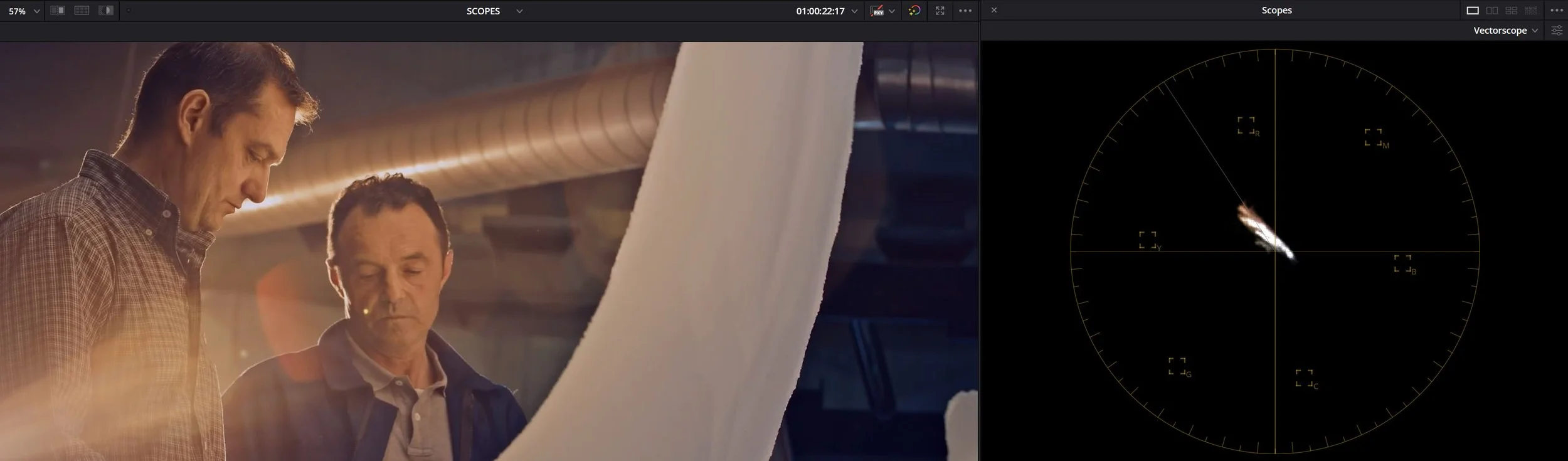 How to Read Scopes in DaVinci Resolve: A Complete Guide — CROMO ...