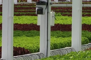 Gardin Phenotyping Sensor — Thinkable Studio GmbH