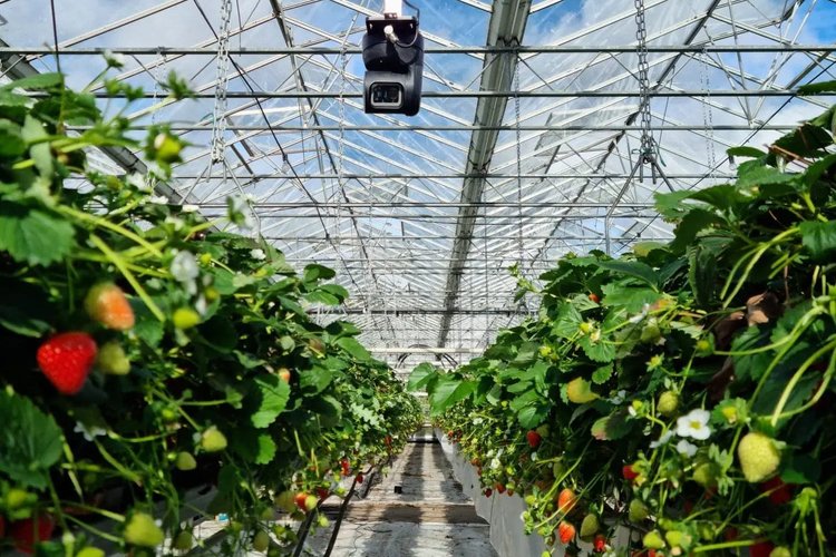 Gardin Phenotyping Sensor — Thinkable Studio GmbH