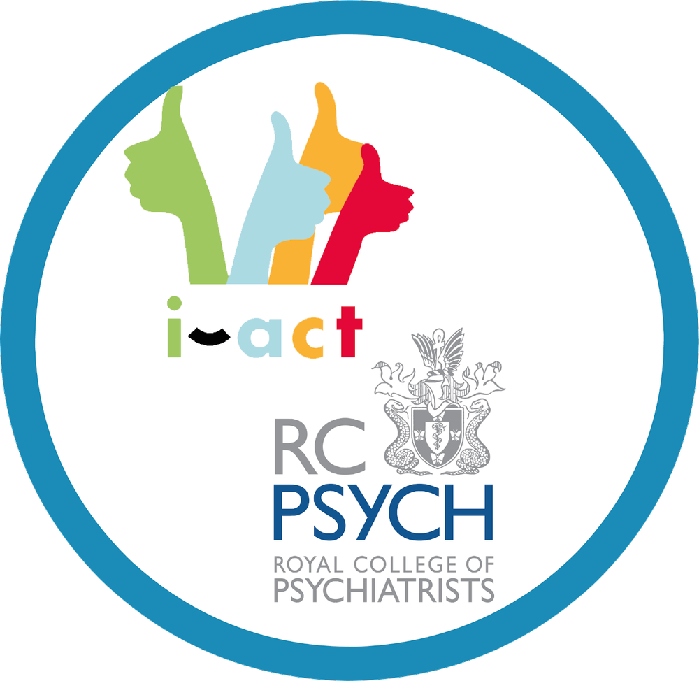 i-act workplace mental health and wellbeing — Minds That Work ...
