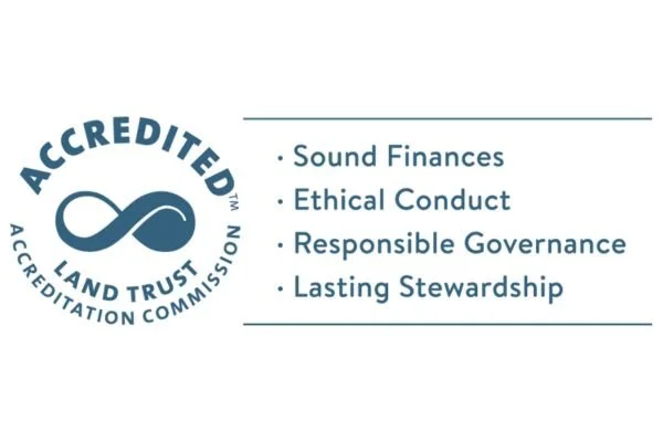 Accreditation Logo Publication New Version Of Specific Accreditation