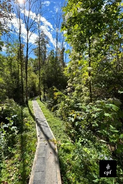 Land Trust 101: Take a Hike! — Cazenovia Preservation Foundation