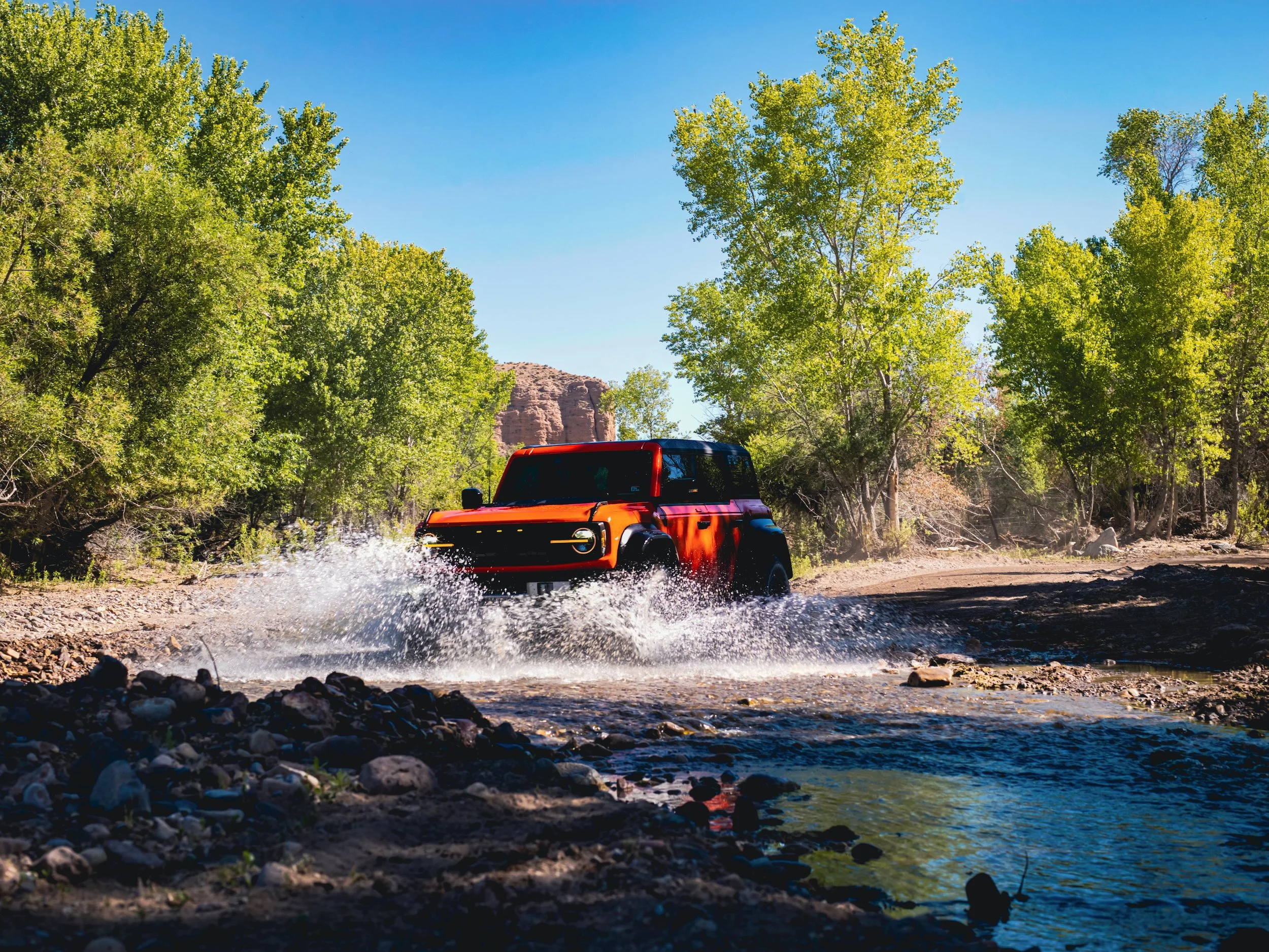 Requirements — Nevada Raptor Runs