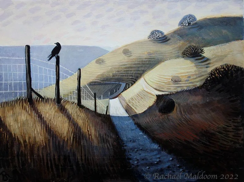 Studio landscapes — Rachael Stedman