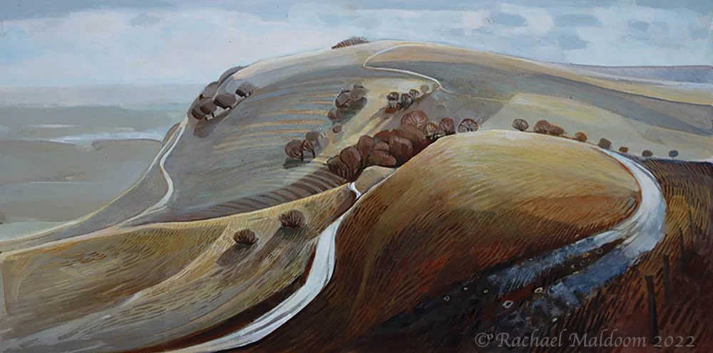 Studio landscapes — Rachael Stedman