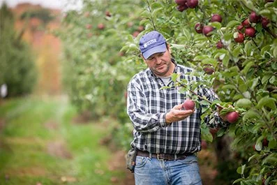 Boothby's Farm Market & Orchard