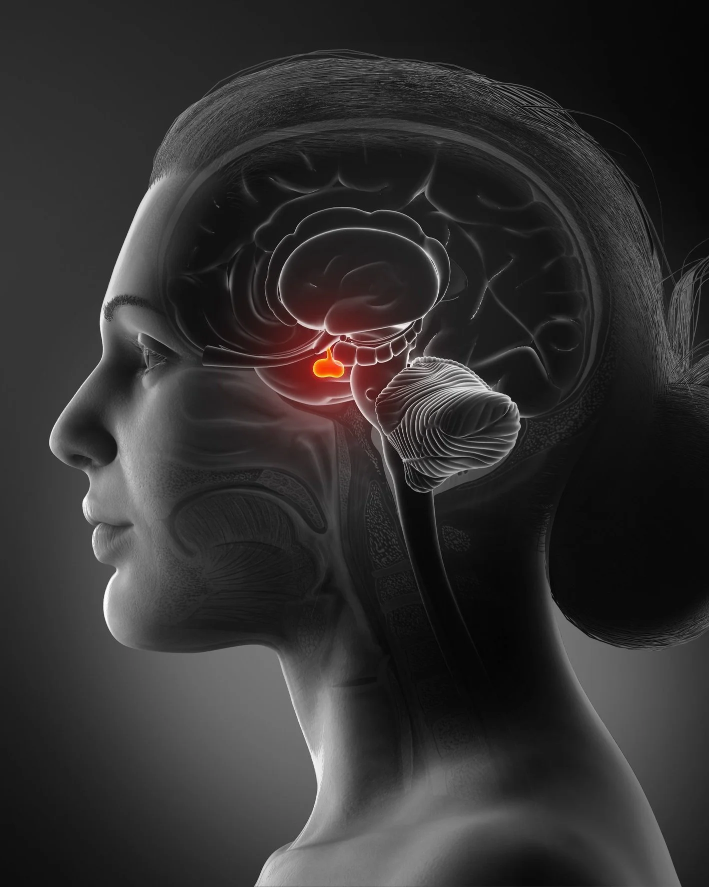 The Fear Network: How the Brain Influences Behavior — Midpoint Counseling