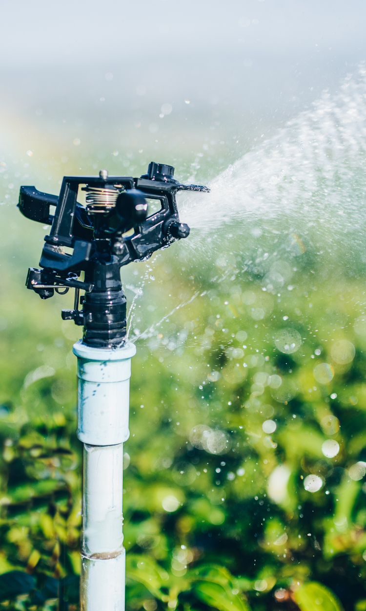 All Pro Backflow - Certified Backflow Testing in Vancouver