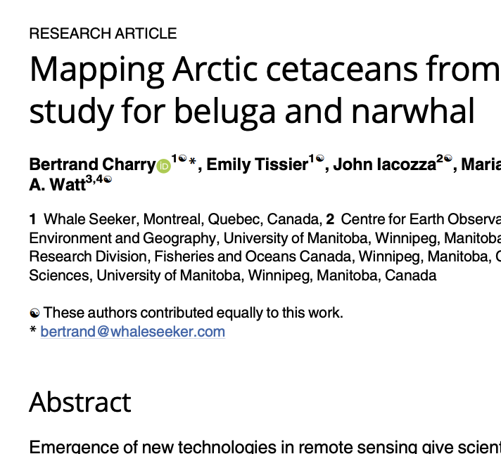 About us — Whale and Vessel Safety Taskforce