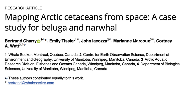 Publications — Whale and Vessel Safety Taskforce