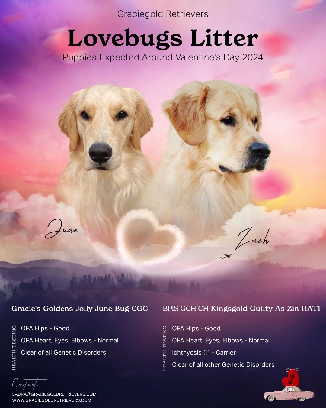 Upcoming Litters — Graciegold Retrievers - Golden Retriever Puppies in ...