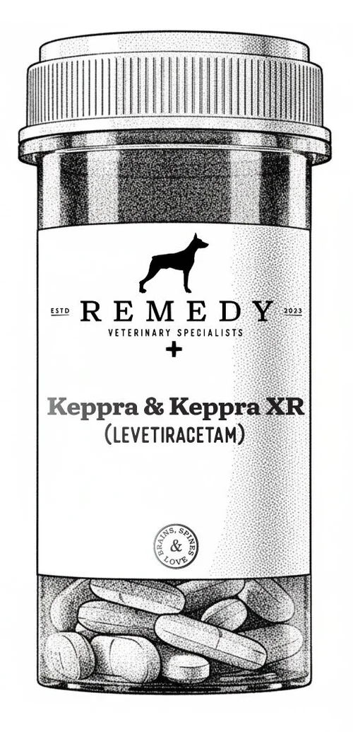 Keppra for Dogs and Cats: Uses and Safety — Remedy Veterinary Specialists
