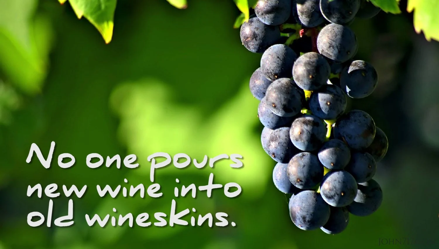 Bursting Wine Skins — Prodigal Missions