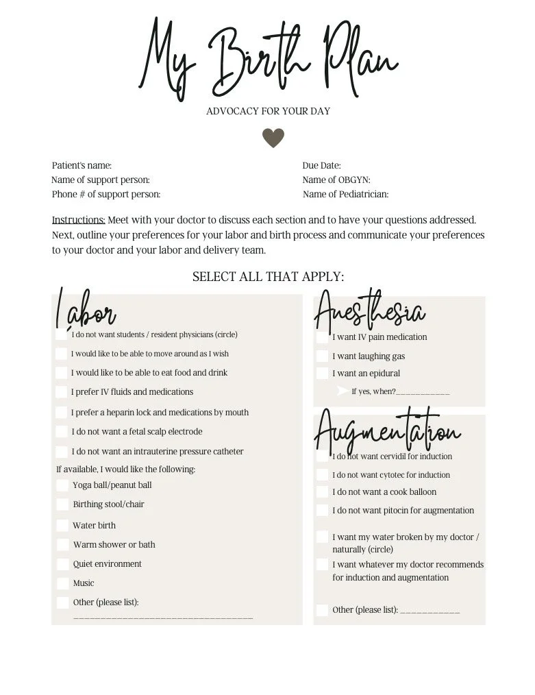 What Makes A Great Pregnancy Planner — Mom's First Steps