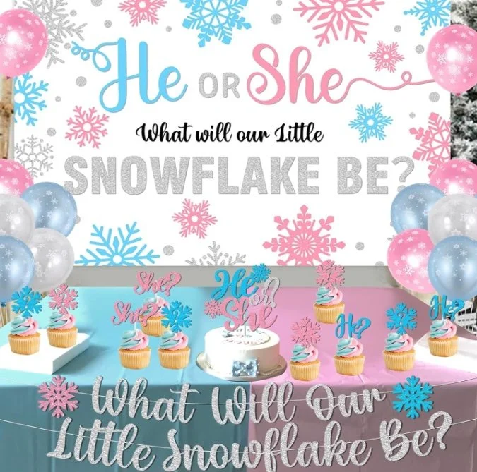 Winter Gender Reveal Ideas — Mom's First Steps