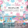 Winter Gender Reveal Ideas — Mom's First Steps
