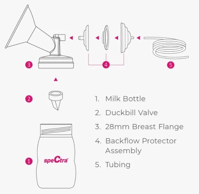 Spectra Pump Parts: A User Guide — Mom's First Steps
