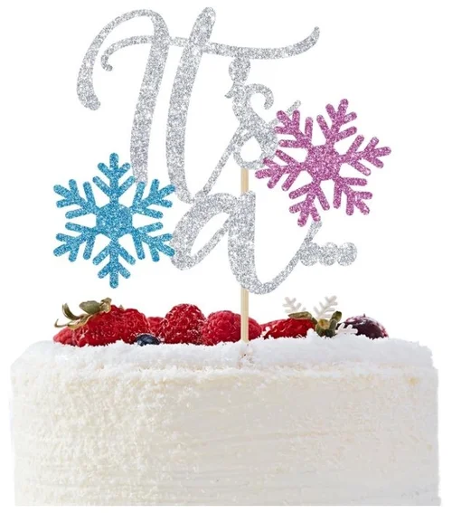 Winter Gender Reveal Ideas — Mom's First Steps