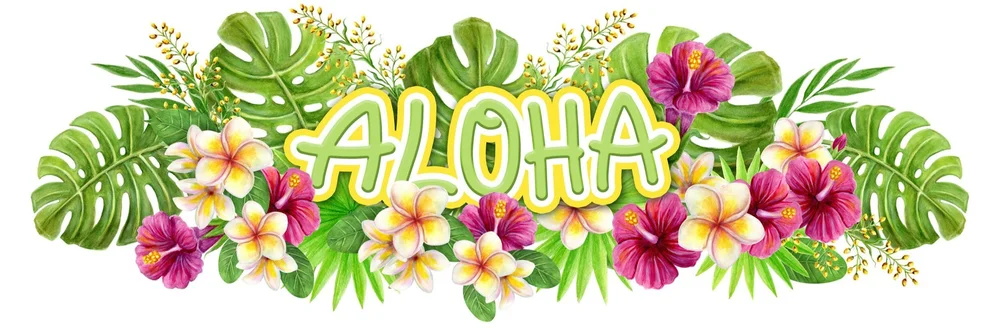 Pure Aloha Festival & Concert | Las Vegas | Vizzun Entertainment