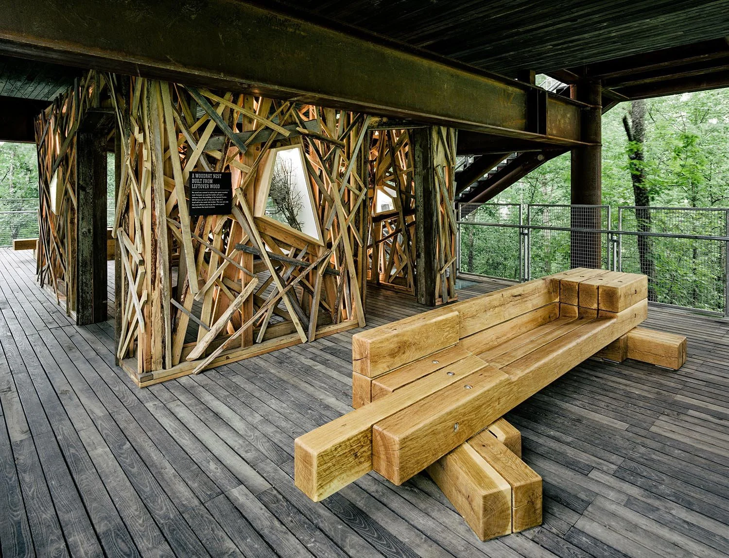 TimberFall — STUDIO TERPELUK