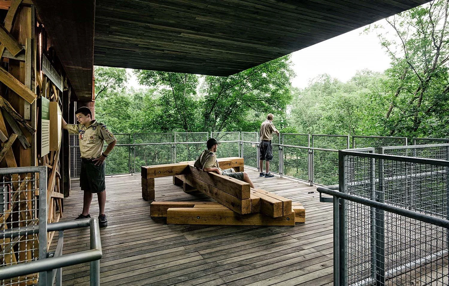 TimberFall — STUDIO TERPELUK