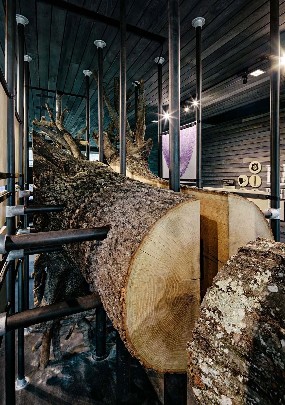 Exhibit Design-San Francisco — STUDIO TERPELUK