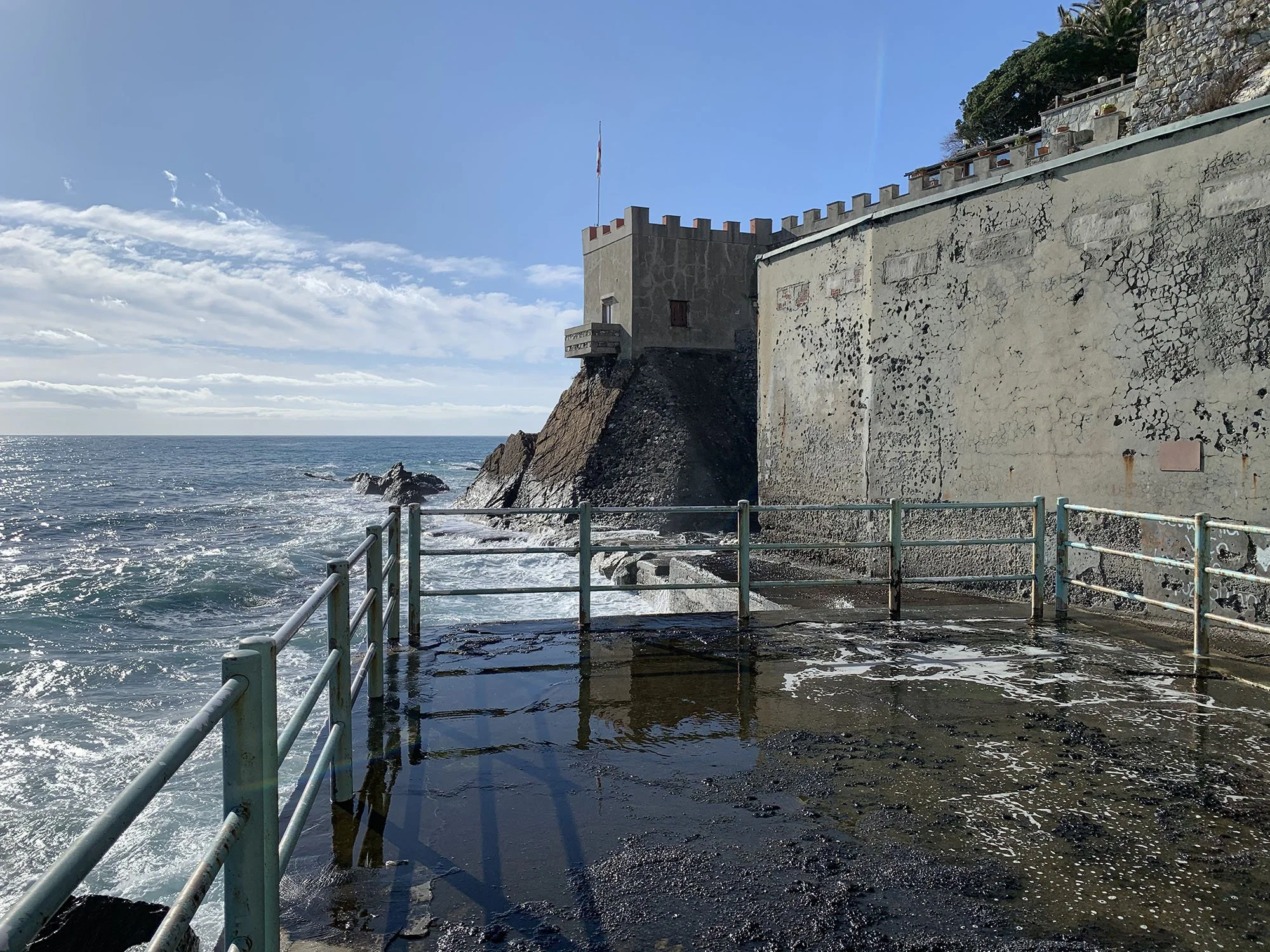 Vernazzola — STUDIO TERPELUK