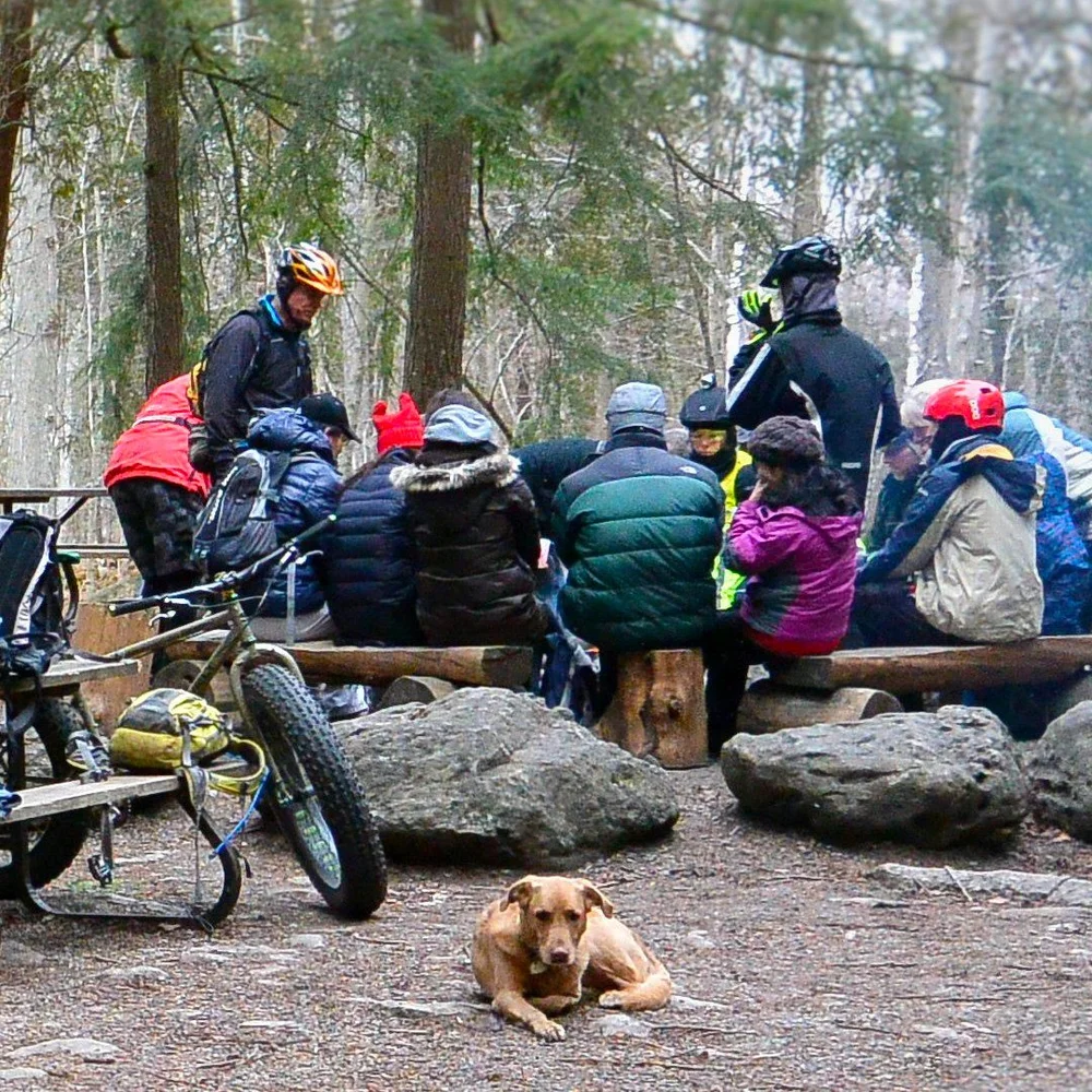 HAFTA: Halton Agreement Forest Trail Association