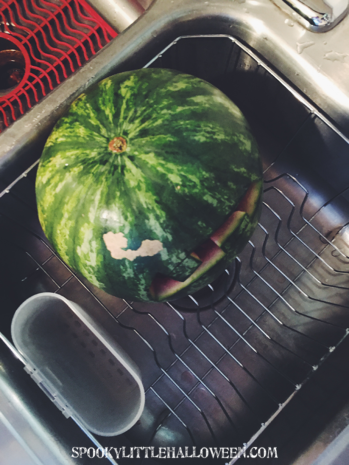 How to Make a Summer Jack-o-Lantern + Watermelon Salsa — Spooky Little ...